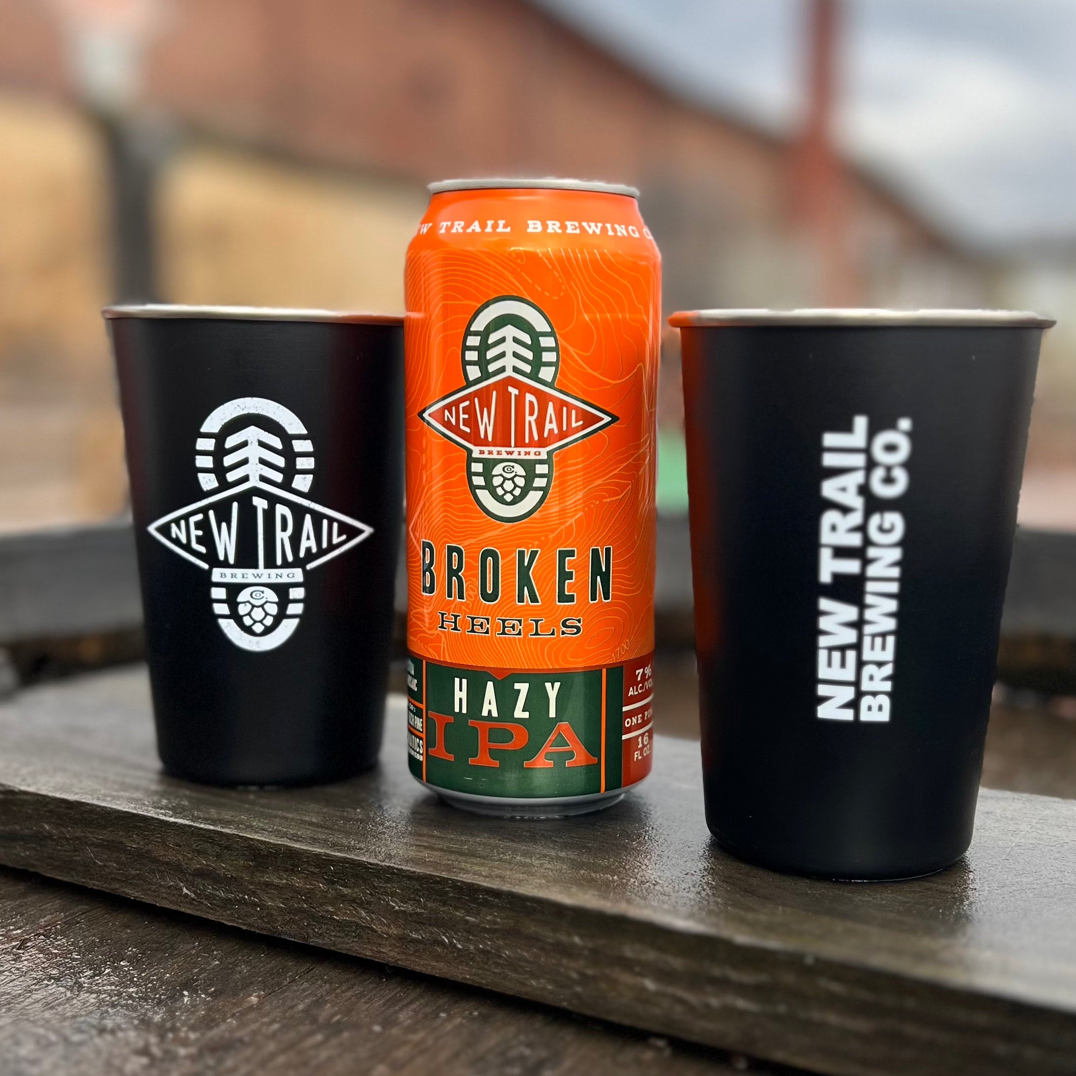 Stainless Steel Travel Pint | New Trail Outpost